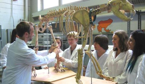 Morris County Vocational School District - Career Tech NJ
